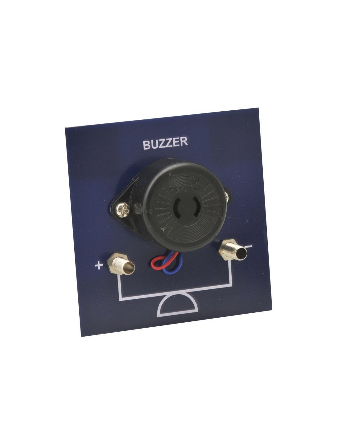 Simple Circuit Module Buzzer